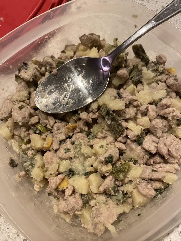 NOM NOM Freshly-Made Frozen Grain-Free Pork Potluck Dog Food, 14-oz ...