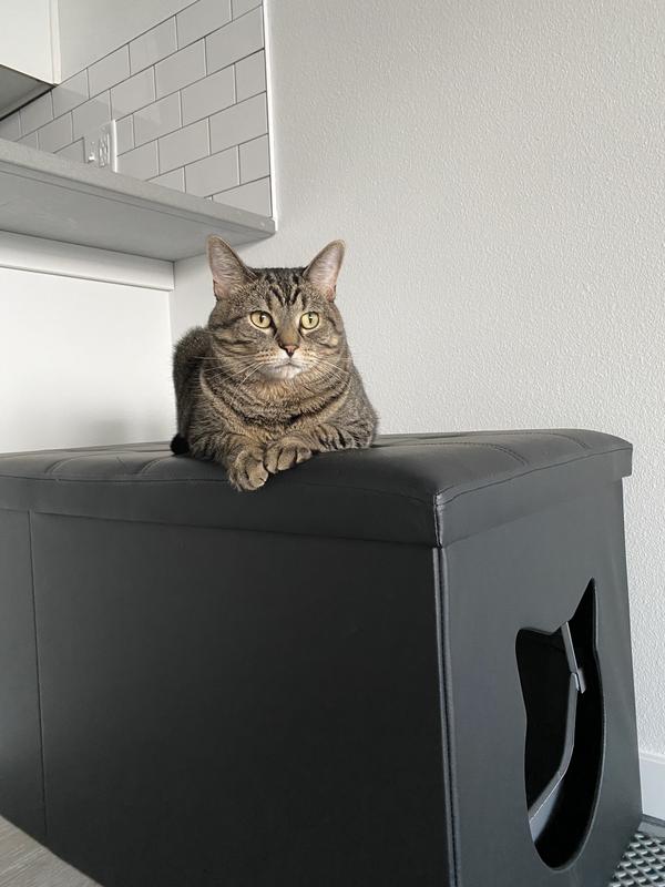 SWEET BARKS Designer Enclosure Hidden Washroom Bench Ottoman Cat Litter ...