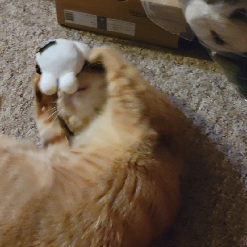 DISNEY Frozen's Olaf & Sven Plush Cat Toy with Catnip, 2 count - Chewy.com