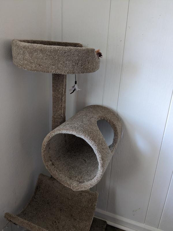 FRISCO 53-in Real Carpet Cat Tree with Tunnel, Beige - Chewy.com