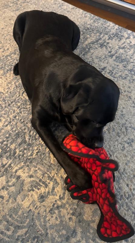 TUFFY'S Ocean Creatures Larry Lobster Squeaky Plush Dog Toy - Chewy.com