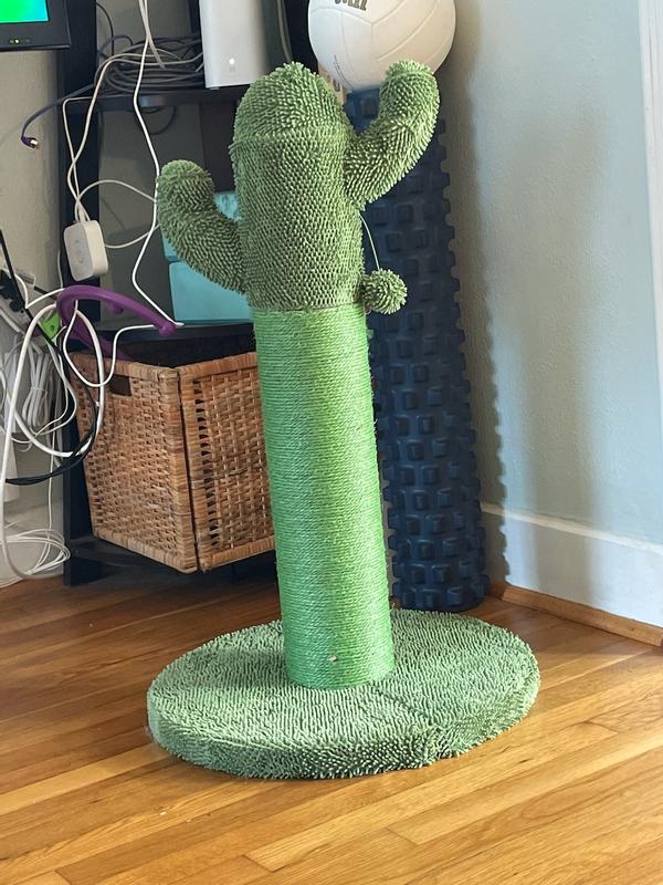 FRISCO Cactus Cat Scratching Post, 22-in - Chewy.com
