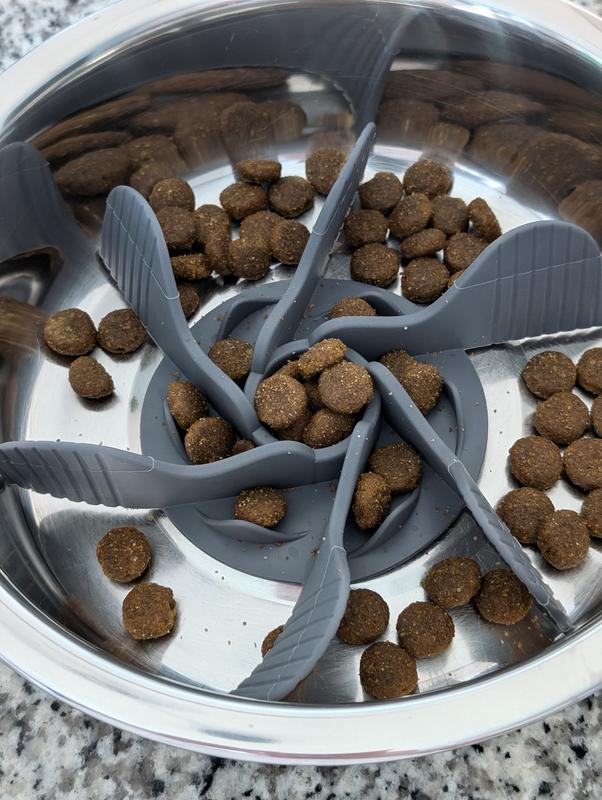 FRISCO Slow Feeder Insert - Chewy.com