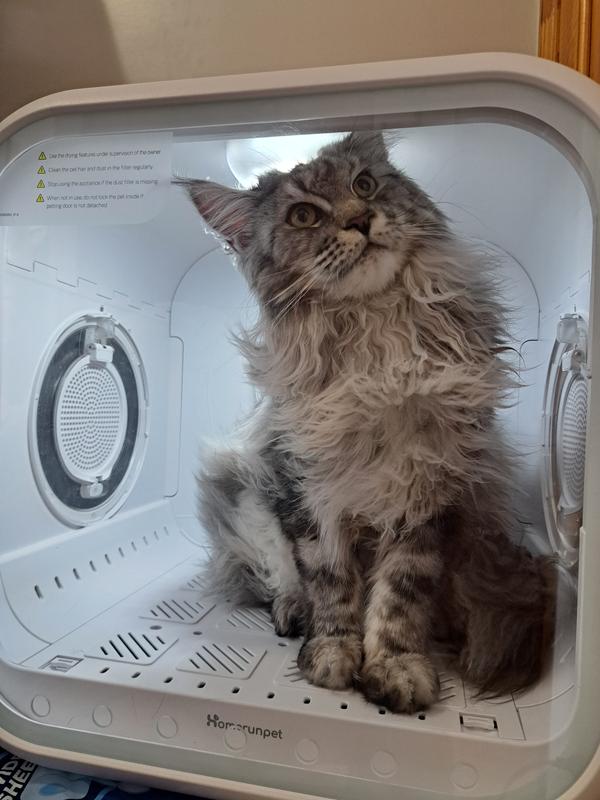 HOMERUNPET Drybo Plus Dog, Cat & Small Pet Dryer Box, White - Chewy.com