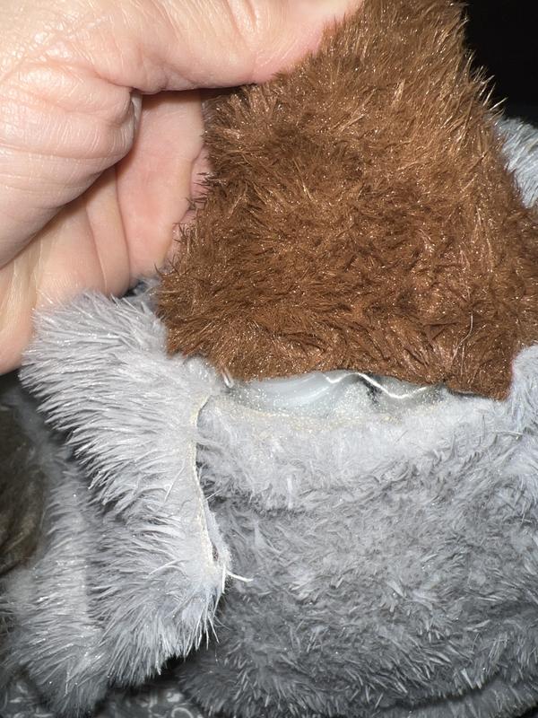 KONG Shakers Honkers Duck Dog Toy, Large - Chewy.com