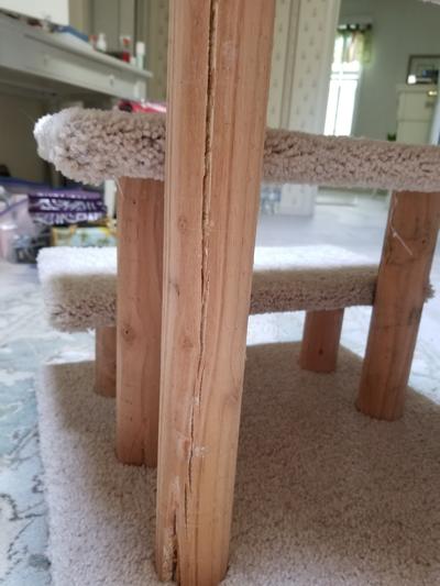 FRISCO 20-in 3-Step Real Carpet Wooden Cat Steps, Beige - Chewy.com