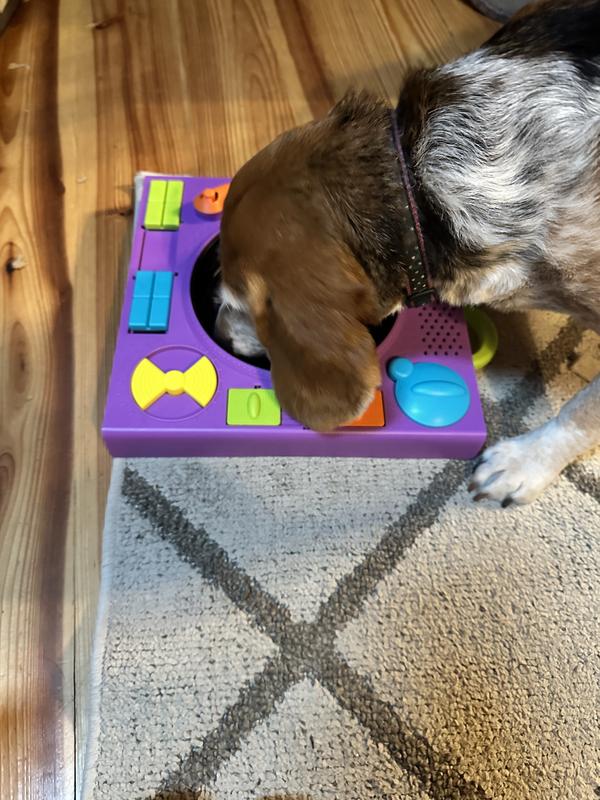 BRIGHTKINS DJ Doggo Puzzle Feeder Dog Toy - Chewy.com