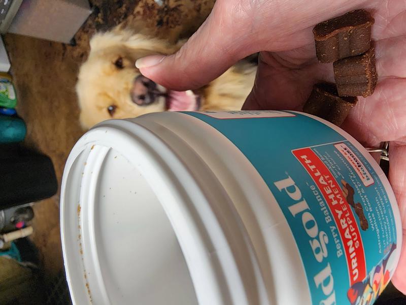 Discontinued - SOLID GOLD Berry Balance Urinary Tract Health Bacon ...