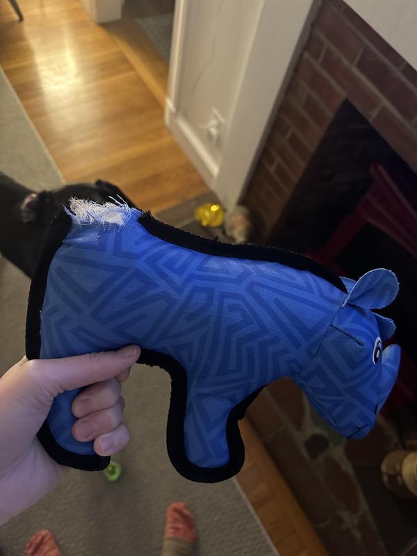 KONG Ballistic Rhino Squeaky Dog Plush Toy, Blue, Medium/Large - Chewy.com