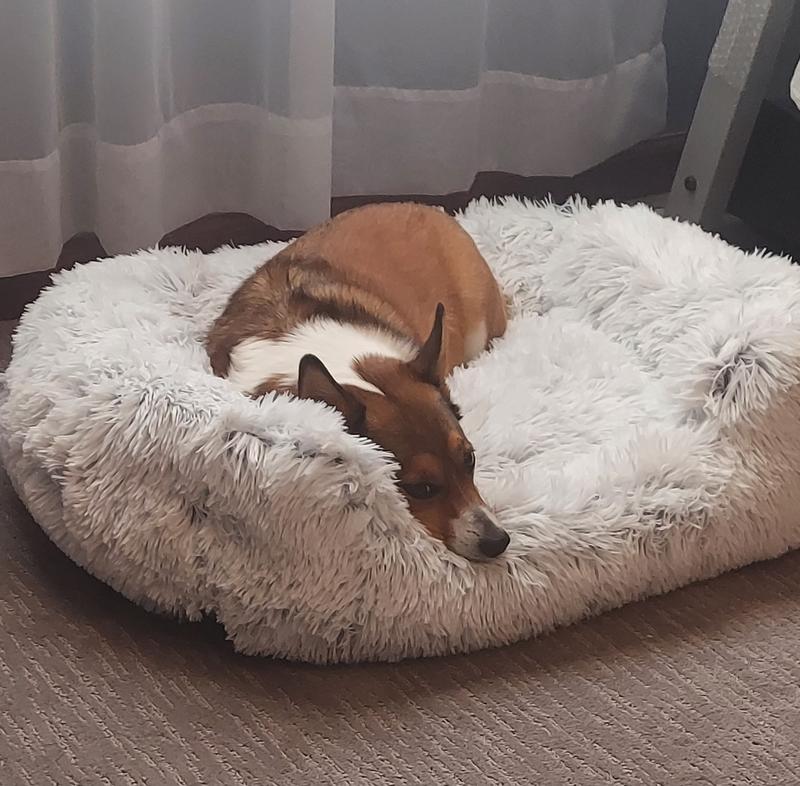 BEST FRIENDS BY SHERI Soothe & Snooze Lounge Shag Rectangular ...