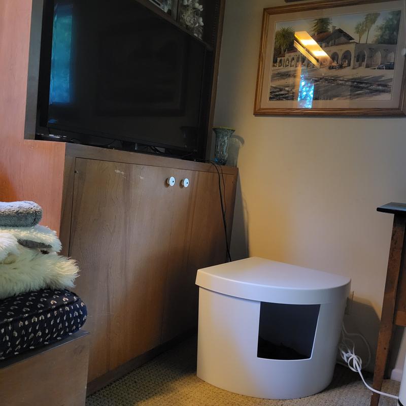 KITANGLE Corner Kitty Cat Litter Box, Large, White - Chewy.com