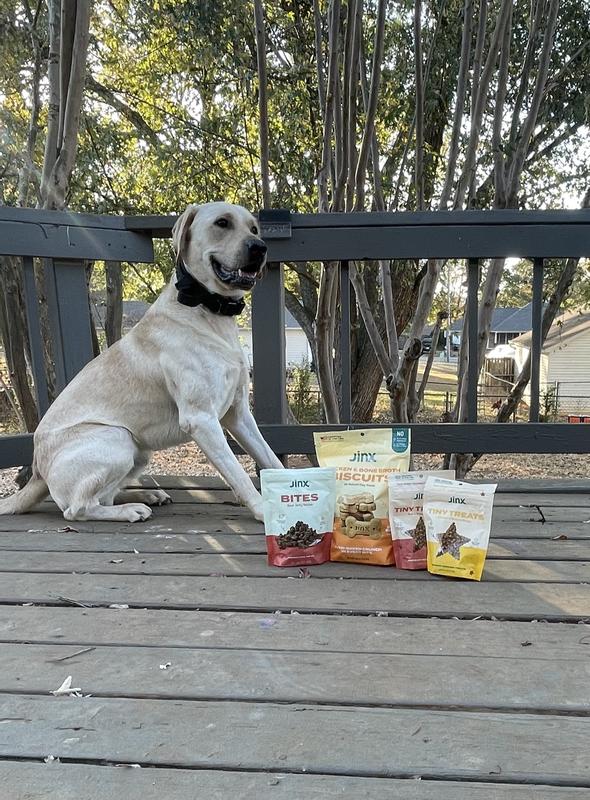 JINX Beef & Bone Broth Biscuits Crunchy Dog Treats, 16-oz bag - Chewy.com