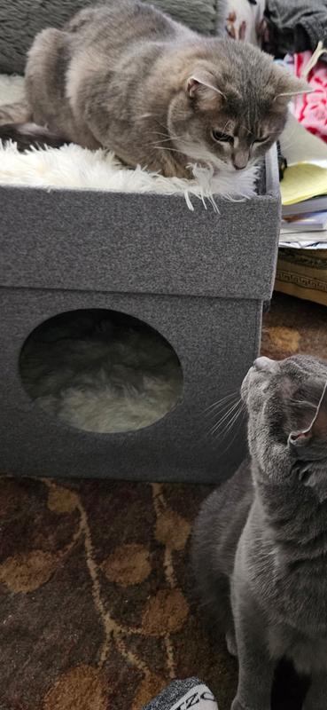 FRISCO Double Cube Stackable & Collapsible Cat Condo, Gray - Chewy.com