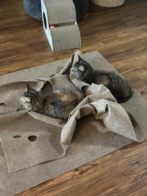 SNUGGLYCAT Ripple Rug Cat Activity Play Mat, Oatmeal White - Chewy.com