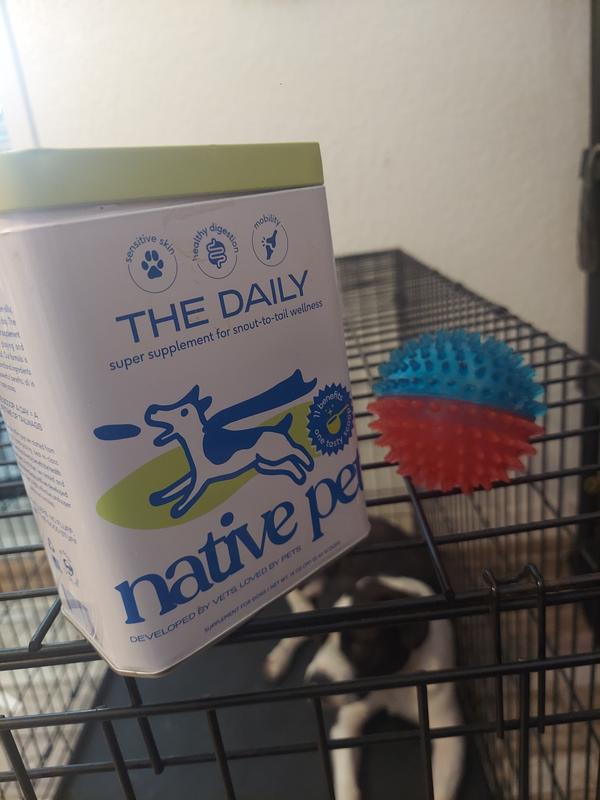 NATIVE PET The Daily Powder 11-in-1 Multivitamin Supplement for Dogs, 7 ...