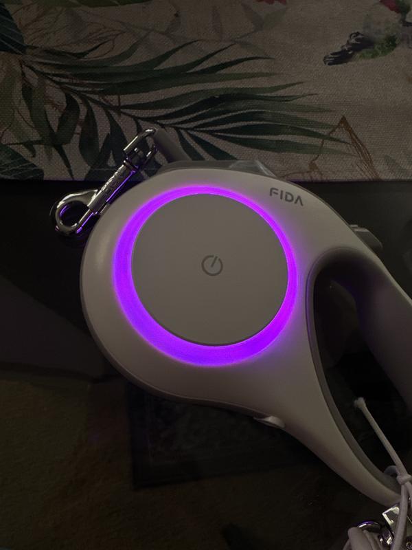 FIDA LED Lighted Retractable Dog Leash, 16-ft long, 7/16-in wide, White ...