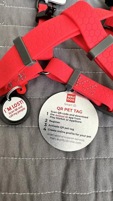 WAUDOG Waterproof Dog Harness with QR Tag, Blue, Large - Chewy.com