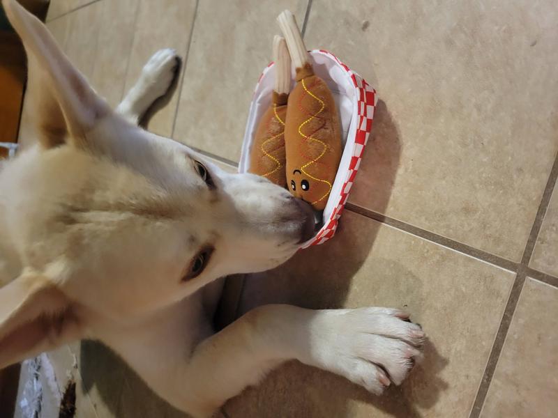 FRISCO Corndog Interactive Plush Squeaky Dog Toy, Small/Medium - Chewy.com