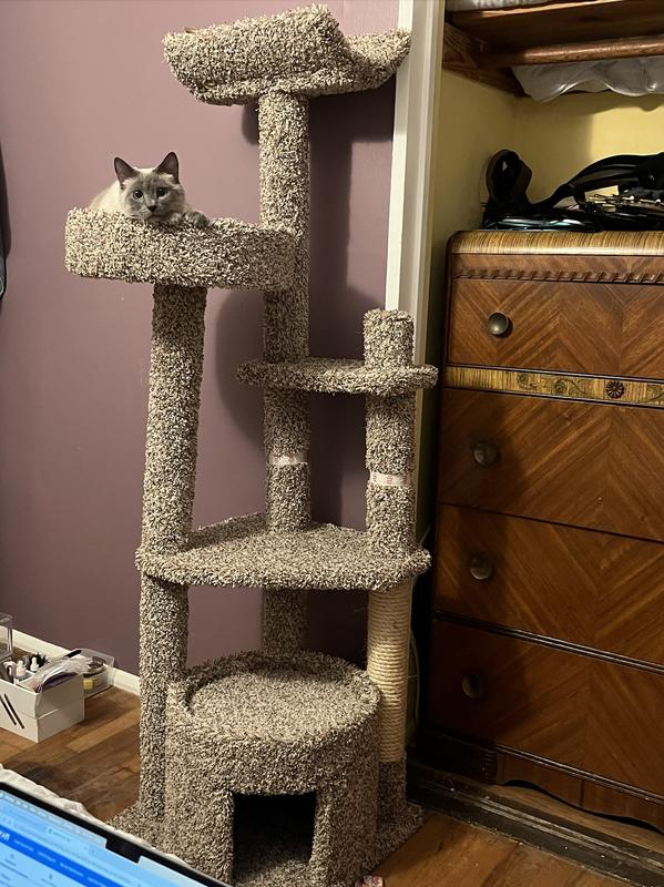 FRISCO 64-in Real Carpet Wooden Cat Tree and Condo, Gray Speckled ...