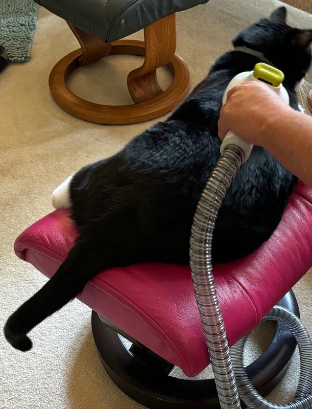 PAWSPIK GroomingPro Rx Professional 7-in-1 Dog & Cat Vacuum & Grooming ...