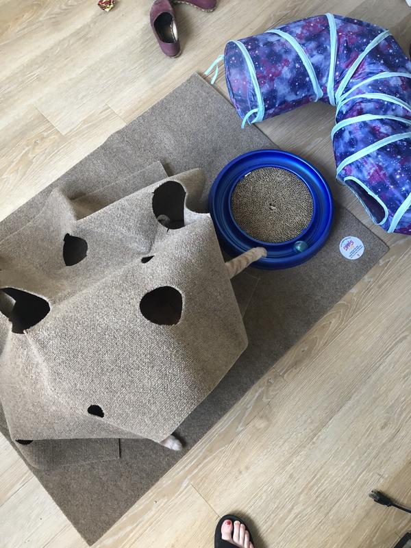 SNUGGLYCAT Ripple Rug Cat Activity Play Mat, Oatmeal White - Chewy.com