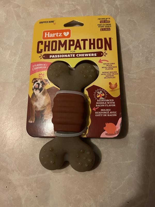 HARTZ Chompathon Gripper Bone Tough Dog Chew Toy, Brown, Medium - Chewy.com