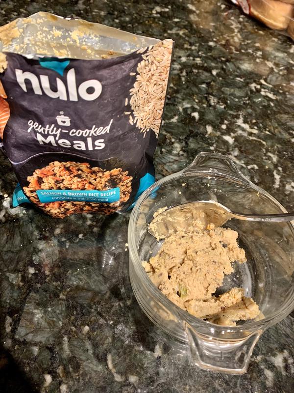 NULO Gently-Cooked Meals Salmon & Brown Rice Recipe Wet Dog Food, 9-oz ...