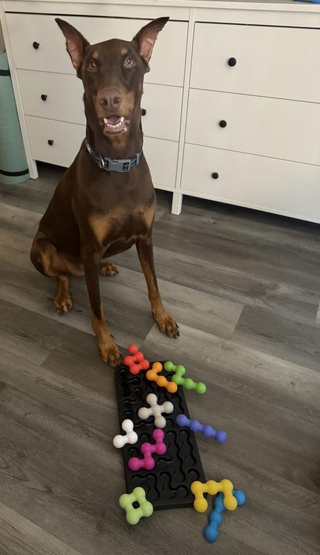 BRIGHTKINS Kanoodle Puzzle Dog Toy, Small - Chewy.com