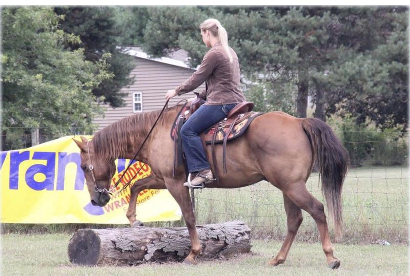 BUCKEYE NUTRITION Gro 'N Win Pelleted Horse Feed, 30-lb bag - Chewy.com