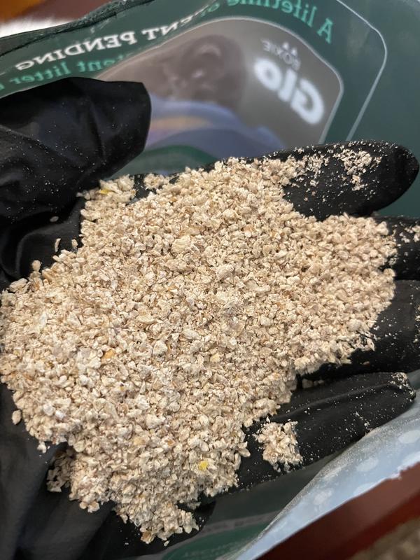 BOXIECAT Glo Corn Clumping Cat & Kitty Litter, 16.5-lb bag - Chewy.com