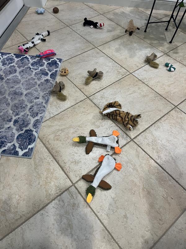 KONG Squeaker Refills, 6 count, Small - Chewy.com