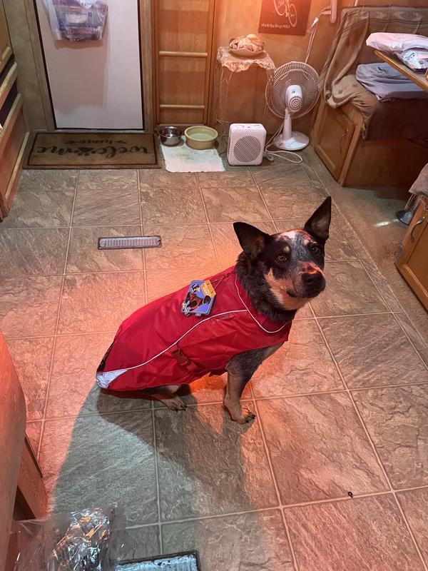 KURGO North Country Dog Coat, Red, Large - Chewy.com