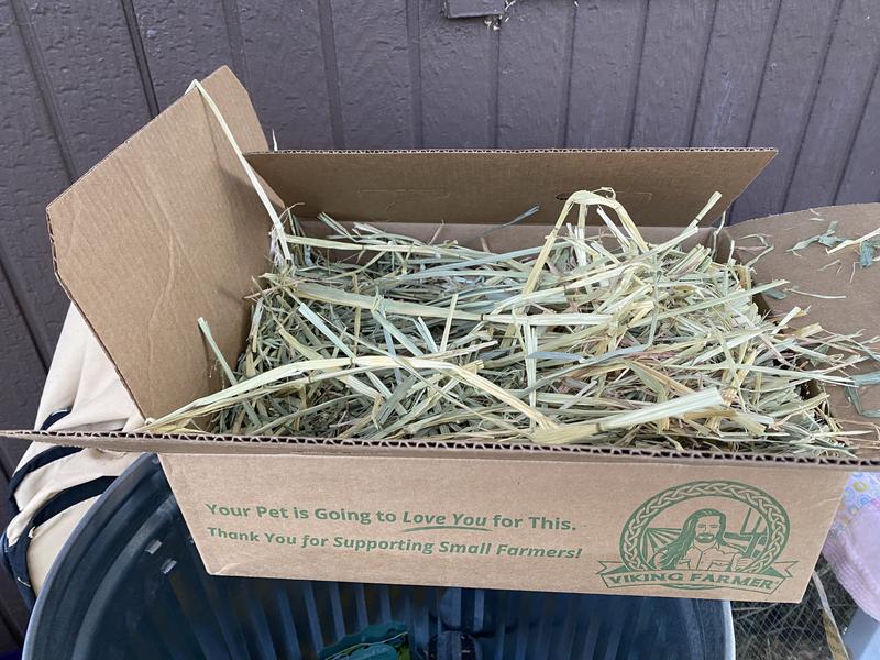 VIKING FARMER Oat Hay for Rabbits & Small Pets, 5-lb - Chewy.com