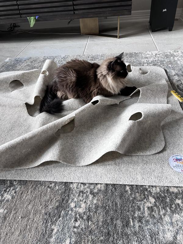 SNUGGLYCAT Ripple Rug Cat Activity Play Mat, Beige - Chewy.com