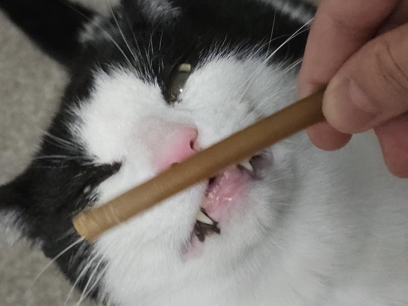 N-BONE Chicken Flavor Cat Chew Treats, 3.74-oz bag - Chewy.com