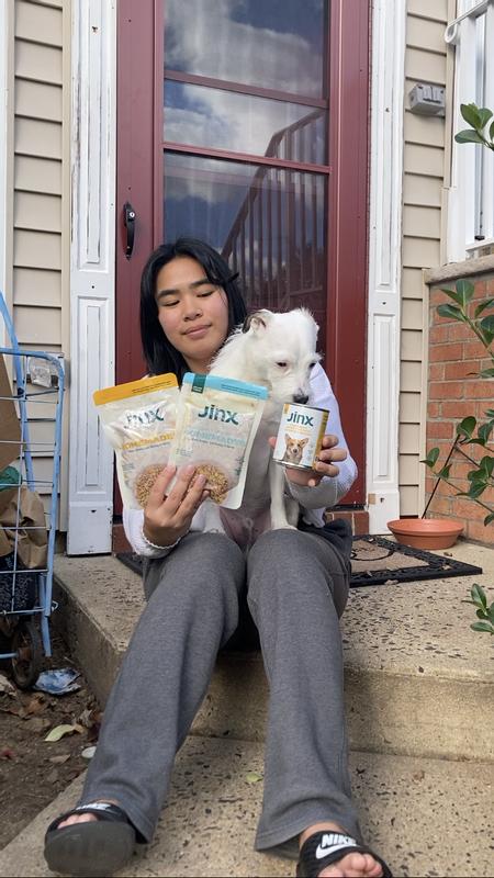 JINX Chicken & Sweet Potato Chopped Recipe Grain-Free Wet Dog Food, 13 ...