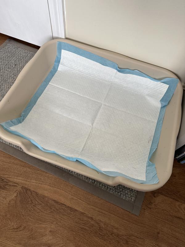 PUPPY PAN Dog, Cat & Small Animal Litter Pan, Large, Black - Chewy.com