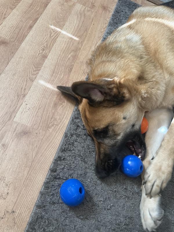 CHUCKIT! Super Crunch Ball, Blue, 1 count - Chewy.com