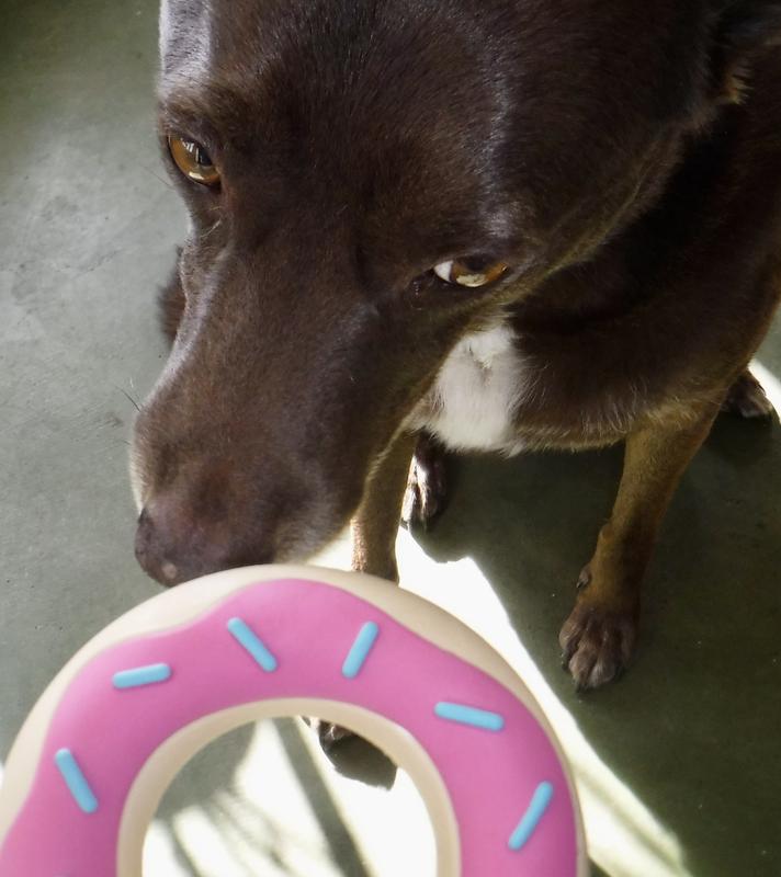 FRISCO Peanut Butter Flavored Donut Rubber Chew Dog Toy for Heavy ...