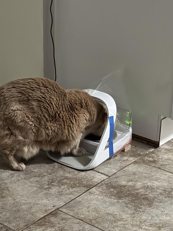 SUREFEED Microchip Small Dog & Cat Feeder, 1 count - Chewy.com