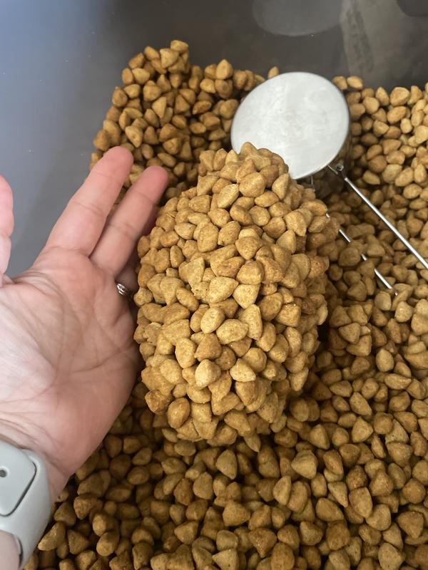 PURINA PRO PLAN VETERINARY DIETS UR Urinary Ox/St Dry Dog Food, 6-lb ...