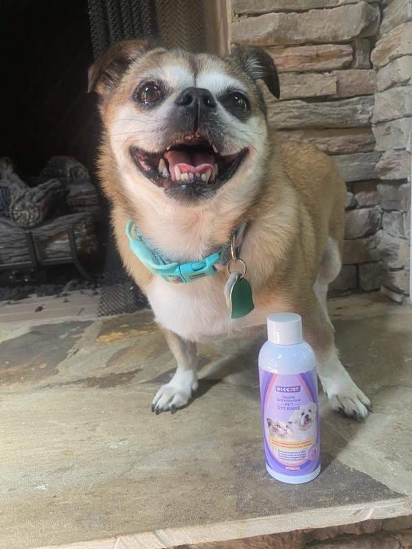 HICC PET Gentle Antimicrobial Dog & Cat Eye Rinse, 5.1-fl oz bottle ... HICC PET Gentle Antimicrobial Dog & Cat Eye Rinse, 5.1-fl oz bottle ...