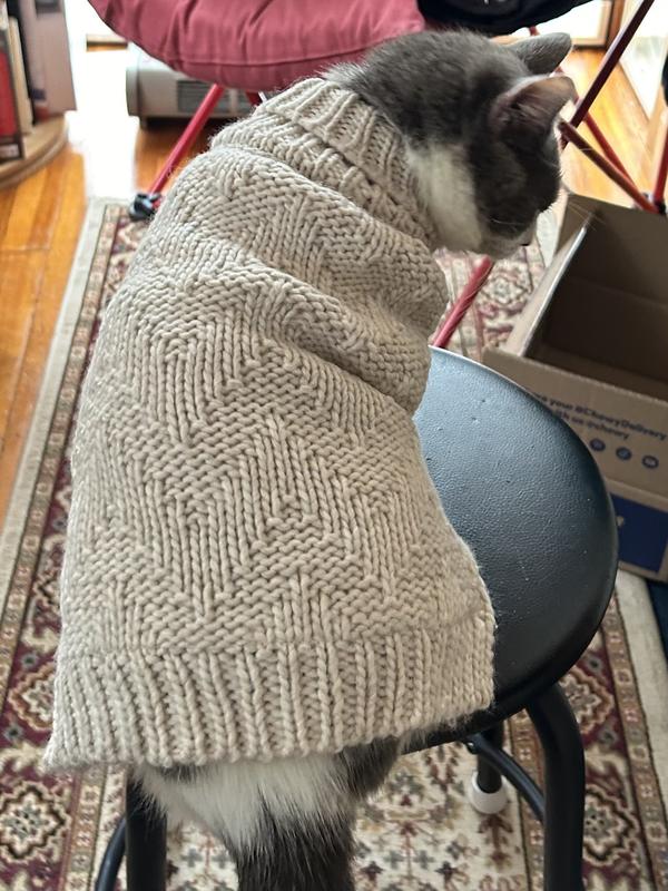 Temporarily Unavailable - FRISCO Sherpa Lined Chunky Cable Knit Dog ...