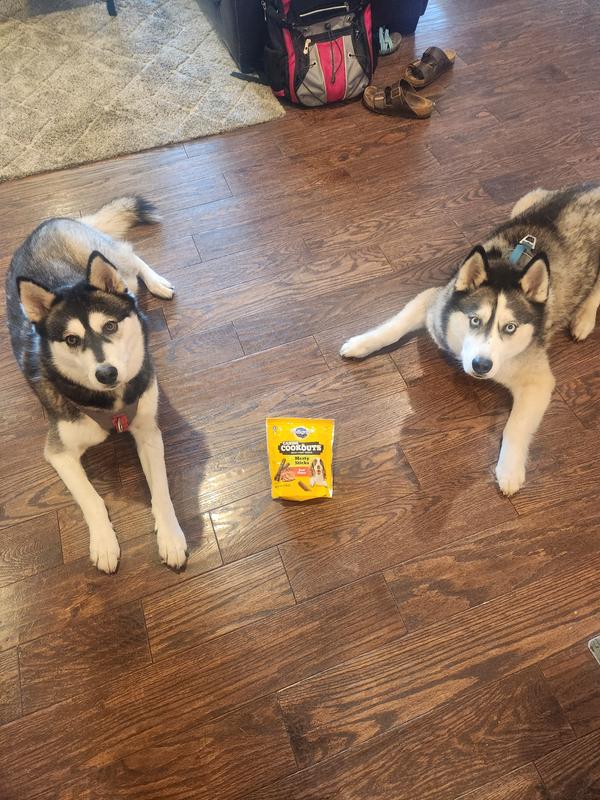 PEDIGREE Canine Cookout Beef Flavored High-Protein Adult Meaty Sticks ...