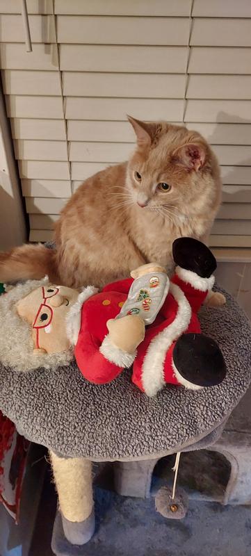 Temporarily Unavailable - FRISCO Holiday Mrs. Claus Plush Squeaky Dog ...