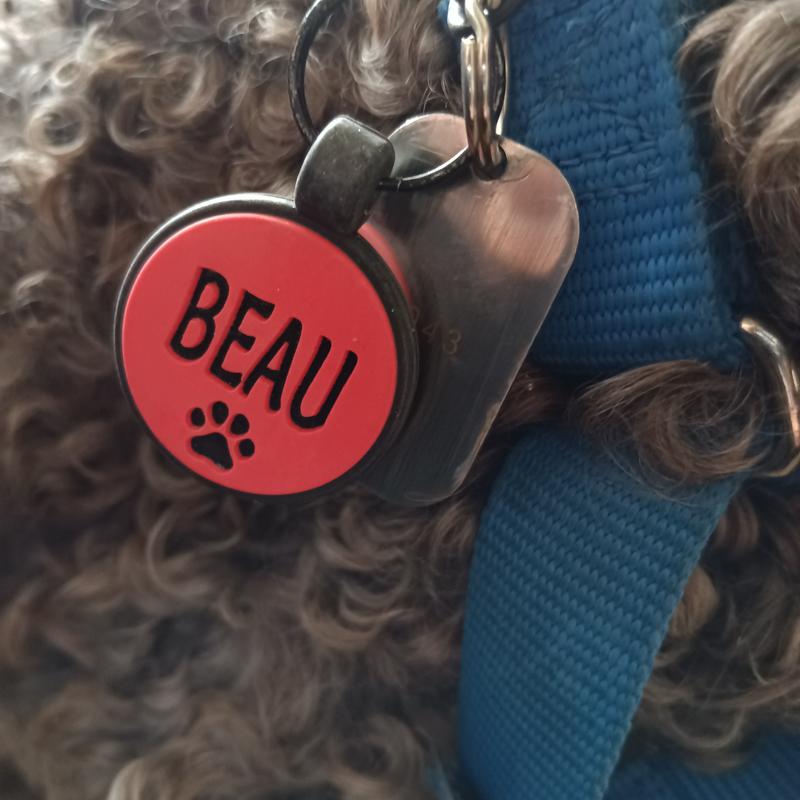 GOTAGS Personalized Silicone Round Dog & Cat ID Tag, Large, Gray ...