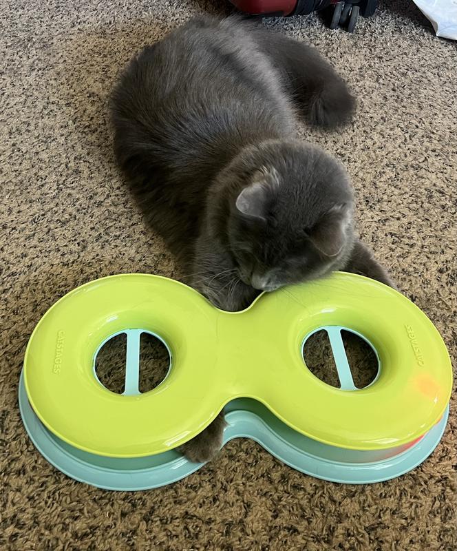 CATSTAGES Infinity Ball Track Including One Light-Up Ball, Figure-8 ...