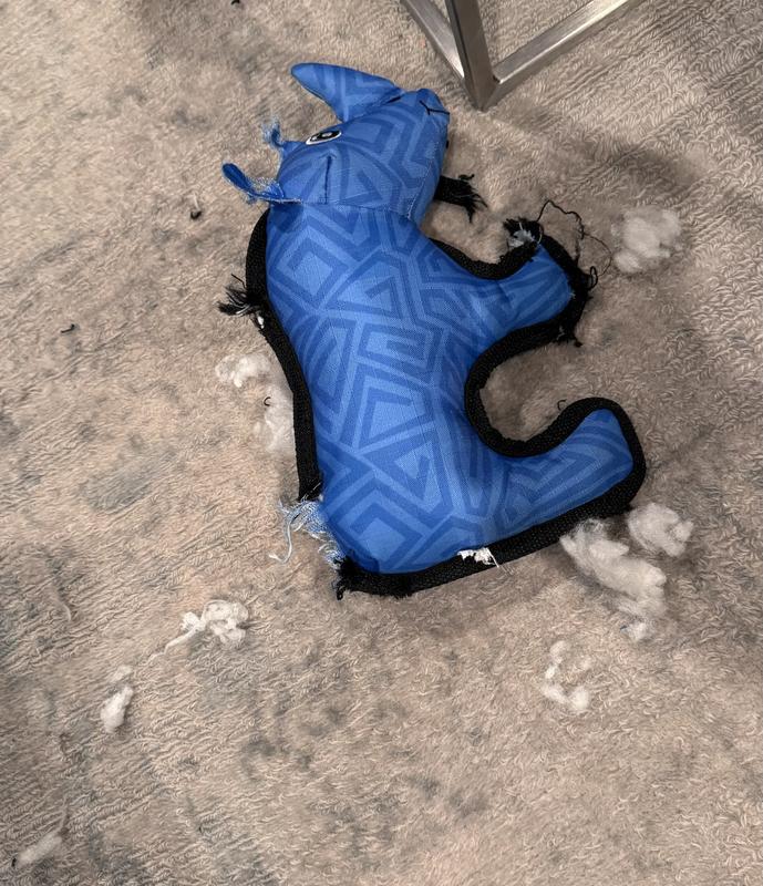 KONG Ballistic Rhino Squeaky Dog Plush Toy, Blue, Medium/Large - Chewy.com