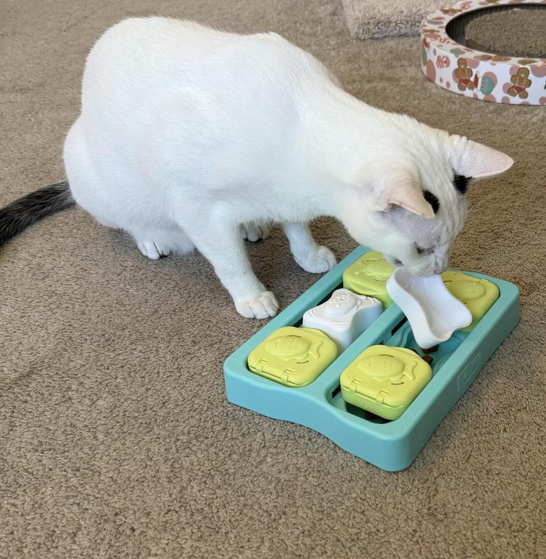 CATSTAGES Kitty Cube Cat Treat Puzzle Toy, Blue - Chewy.com