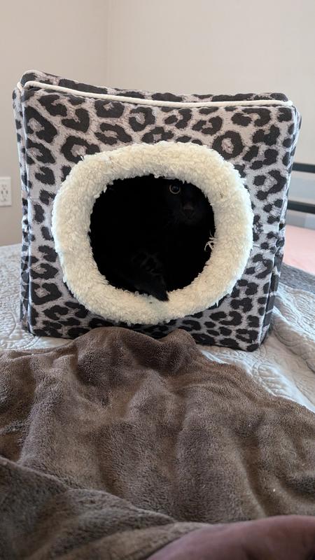 PET ADOBE Cat House - Chewy.com